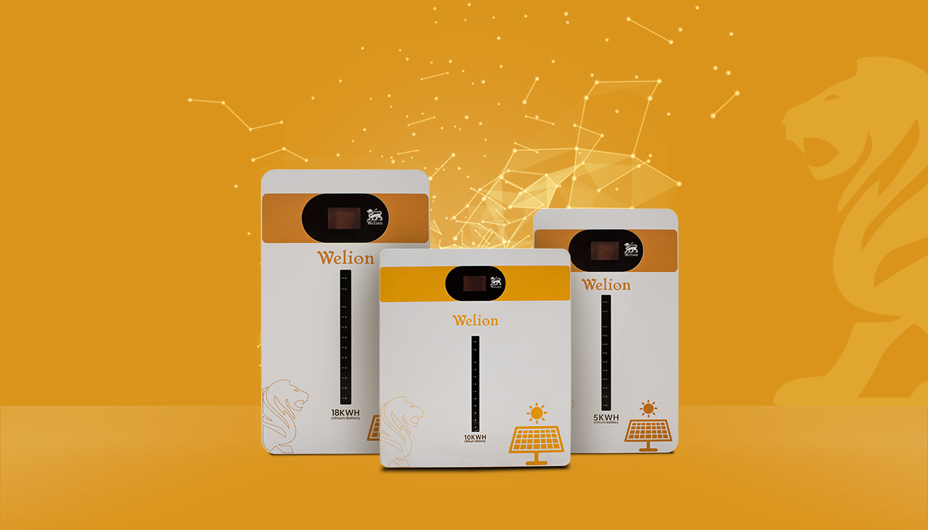 Welion Lithium-iron LiFePo4 Battery - Welion Solar